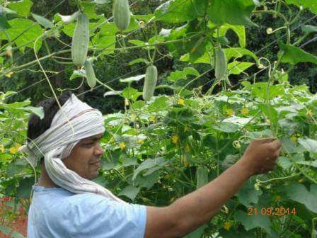 किसानों को अब खेती करना बंद कर देना चाहिए, केवल अपने परिवार लायक उपजाना ...